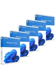 Windows 11 Pro (5 keys) | cheap keys at Keys.Discount